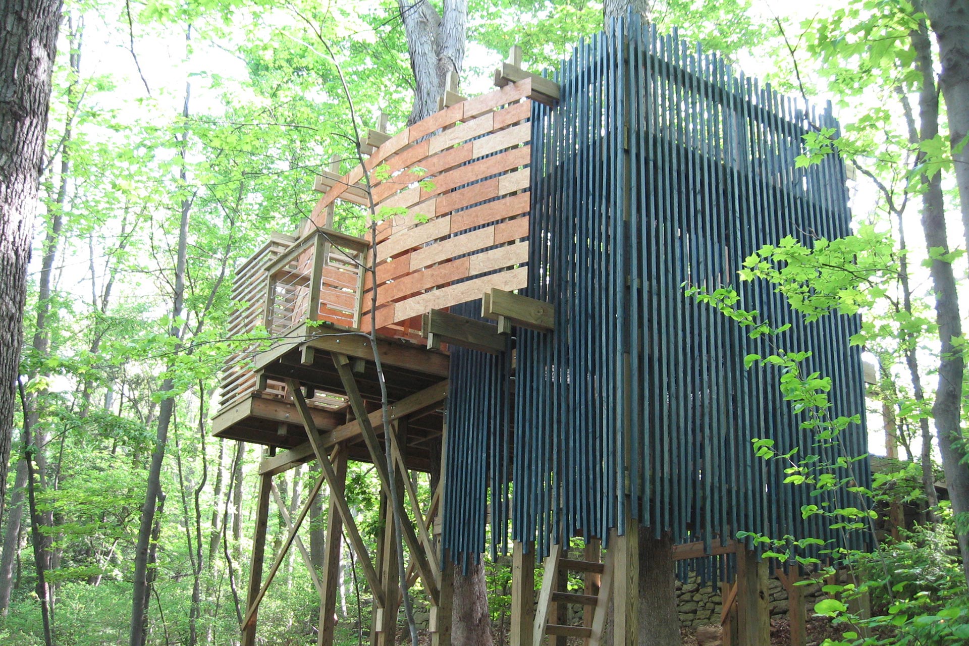 Tree-mendous Tree House | HSB Architects + Engineers