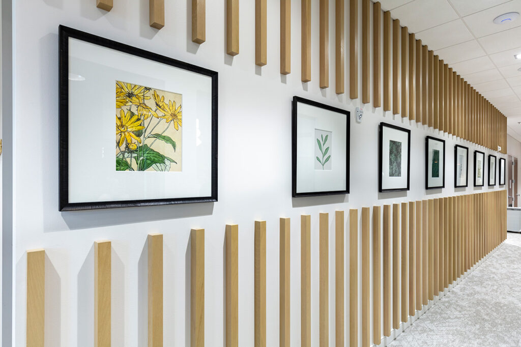 Kogan + Kogan Dental | HSB Architects + Engineers